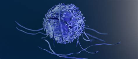 Asco23 Adjuvant Ribociclib Yields Promising Results For Early Stage Breast Cancer Oncology