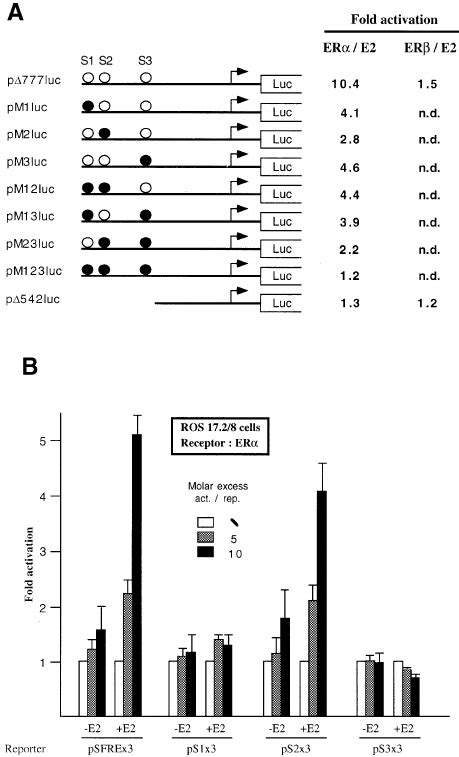 Cross Talk Between ERs And ERRs All ERs And ERRs Bind To And Activate Download Scientific