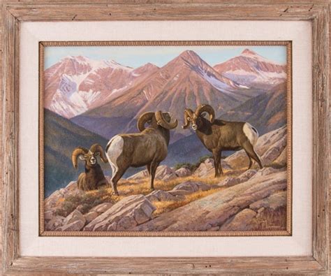Hayden Lambson Big Horn Sheep Mutualart
