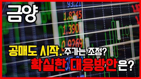 금양 주가 전망 공매도 시작 주가는 조정 확실한 대응 방안은 금양 금양주가 금양주가전망 Youtube