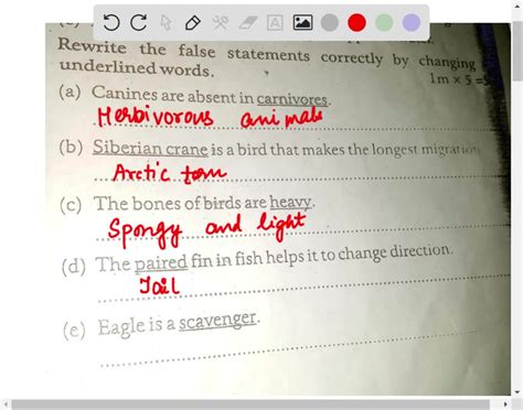 SOLVED Rewrite The Following Statements Correctly By Changing The Underlined Words
