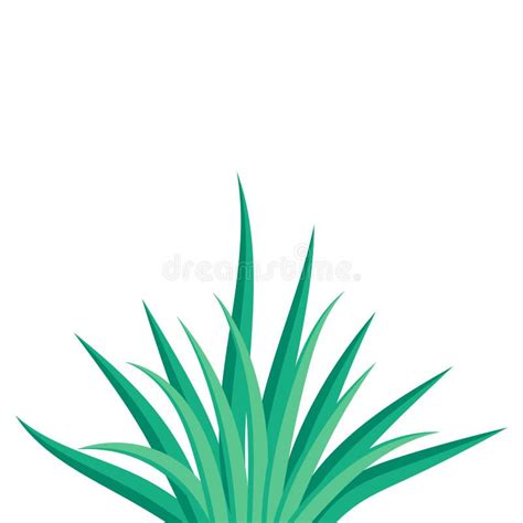 Grass Vector Illustration Stock Vector Illustration Of Vector 333410382