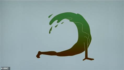 The Apprentice Cruise Ship Logo Is Compared To A Turd While Harry Ends Up First To Be Fired