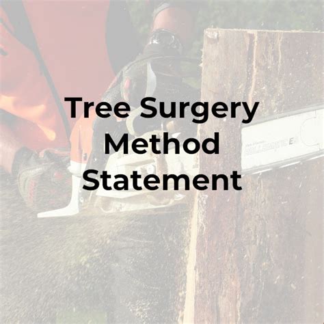 Tree Surgery Method Statement Safety Place
