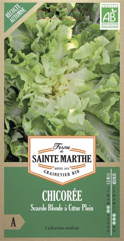 Graines Potagères Semences De Chicorée Bio Le Pavot Bleu