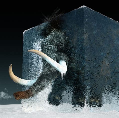 Woolly Mammoth Craft Elephas Primigenius Woolly Mammoth Newest