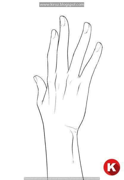 Pin by daul on 오시리아 in Hand drawing reference How to draw hands Line art drawings