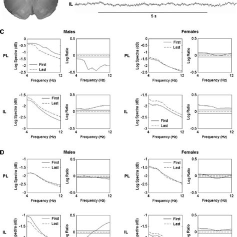 Females Show Enhanced Learned Fear Expression During Extinction And Its Download Scientific