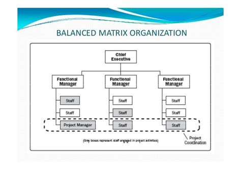 Organization Structure Functional Projectized Matrix