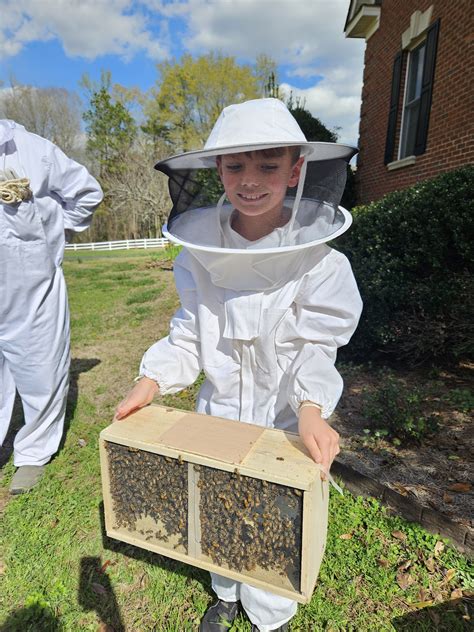 About Us Honey Top Bees