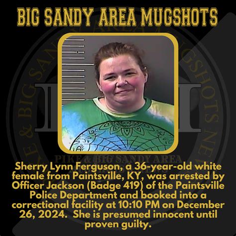 Sherry Ferguson Big Sandy Area Mugshots News