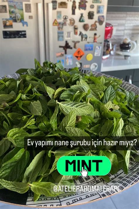 Sevil Çerçi Babac Posted On Linkedin