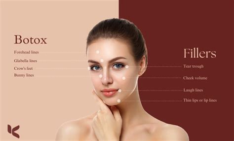 Botox Vs Dermal Fillers Best Anti Aging Treatment Guide