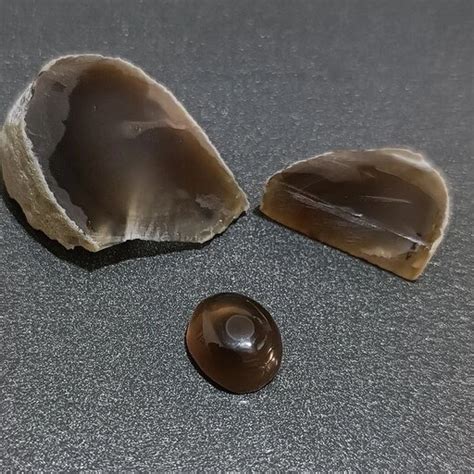 خرید و قیمت نگین باباقوری خاص قهوه ای همراه تکه خود سنگ ترب