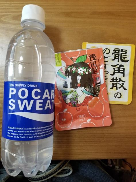 風邪から気管支炎 必需品 リリーペンギンの徒然日記