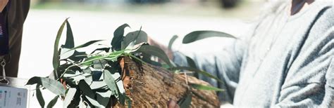 Meihana Model A Clinical Assessment Framework