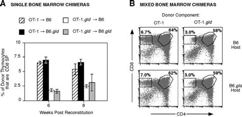 The Defect In Ot 1gld Thymocyte Maturation Is T Cell Autonomous And