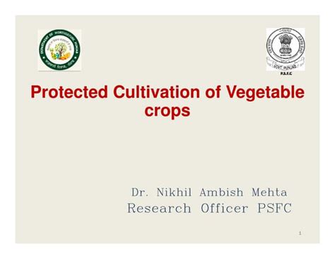 Protected Cultivation Of Vegetables Pdf Agriculture Industries