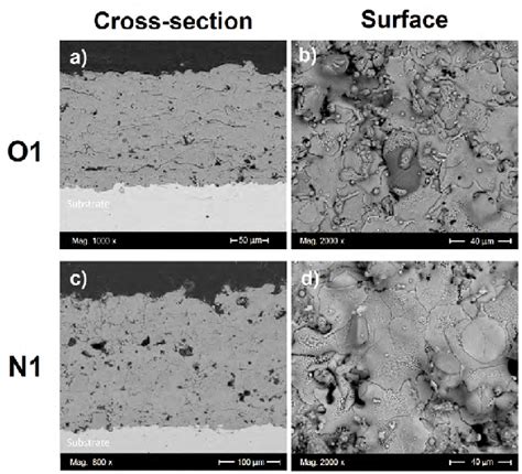 Morphology Of The Surface And Cross Section Coatings A B O1 C D N1