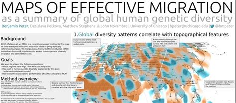 Maps Of Effective Migration As A Summary Of Global Human Genetic