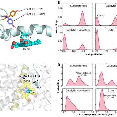 Synergistic Functioning Of Three Binding Modes A Two Conformations Download Scientific