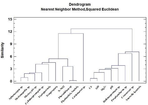 dendrogram based on the nearest neighbor method on the horizontal axis