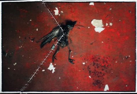 Ivica Nikolac The Eye Of Photography Magazine