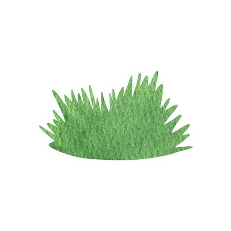 Green Forest Grass Branch Watercolor Clipart Illustration Of Summer