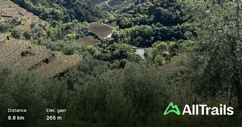 Alvações Do Corgo E Antiga Linha Do Corgo 8 Photos District De Vila