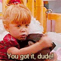 Full House You Got It Dude
