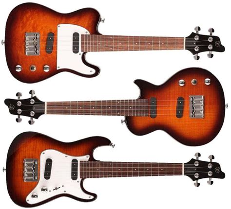 Types Of Ukuleles A Guide To Different Kinds Of Ukes