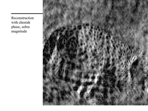 Ppt Fourier Analysis Powerpoint Presentation Free Download Id1461202 Ppt Fourier Analysis Powerpoint Presentation Free Download Id1461202