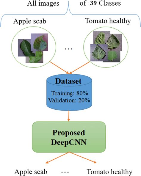 General Training Scheme Of Cnn Models And Data Partitioning