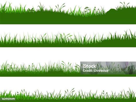 Bộ Vector Cỏ Hình Minh Họa Sẵn Có Tải Xuống Hình ảnh Ngay Bây Giờ Cỏ Thảo Mộc Thực Vật