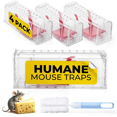 Humane Mouse Trap 4 Pack Review Safe Effective Rodent Control Your