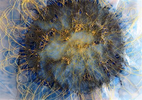 Nancy Kim — The Chapter House