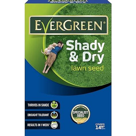 Chatsworth 200g Super Patch Grass Seed Uk Garden And Outdoors