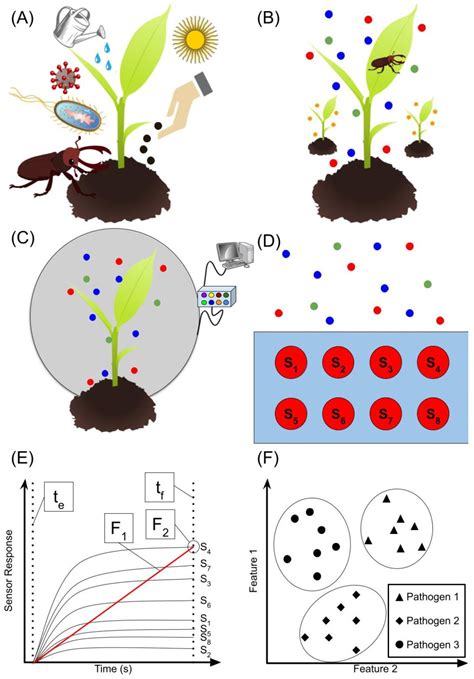 Emerging Methods For Plant Pest Detection Biosensors Mdpi Posted On The Topic Linkedin