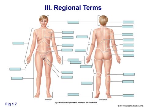Biol 124 Unit 1 Surface Structure Diagram 1 Diagram Quizlet