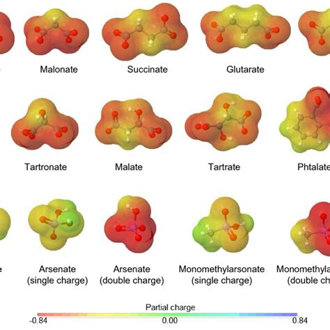 Electrostatic Potential Maps Of The As Species Present At Ph 833 And Download Scientific