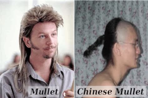 First Place Mullet Memes The Australian Teen Suing Over Mullet Memes