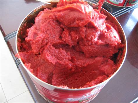 Tomato Paste Distribution Consistency Processing Ingredients Raya