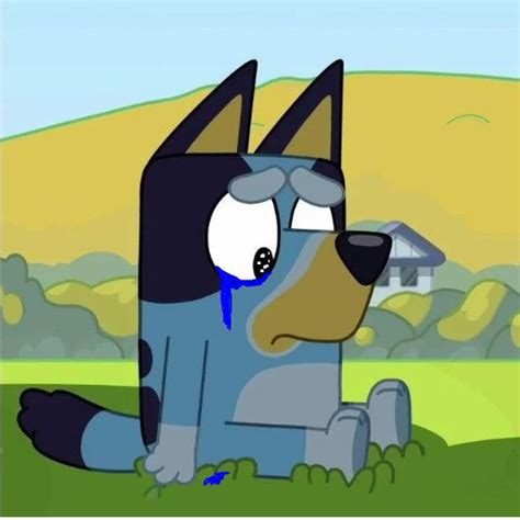Bluey Is Crying By Blueyfan888 On Deviantart