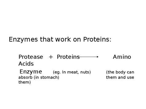 Action Of Digestive Enzymes Amylase Protease And Lipase Break