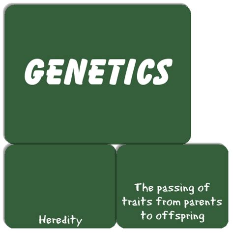 Genetics Memory Game Match The Memory