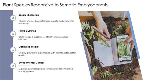 Plant Species Responsive To Somatic Embryogenesis Ppt Presentation St Ai Ss Ppt Presentation