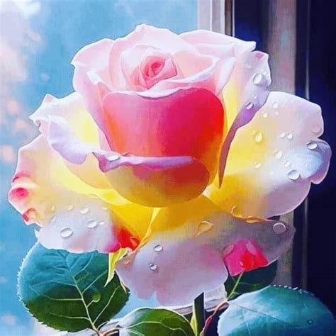 Tabassum Shoaib Dr Tabassum • Threads Say More