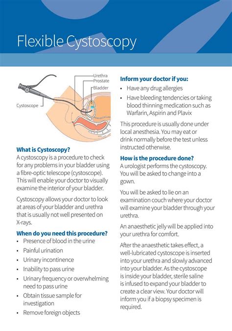 Flexible Cystoscopy By Yishun Health Issuu
