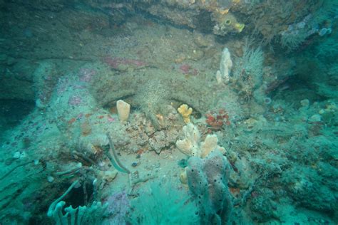 Ss Glenelg Southern Ocean Exploration