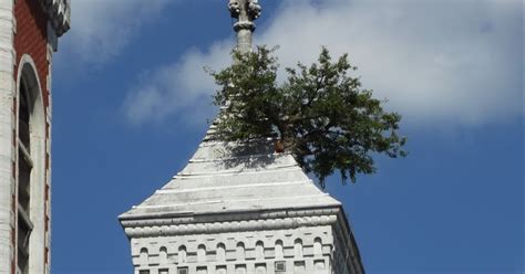Greensburgs Courthouse Tower Tree